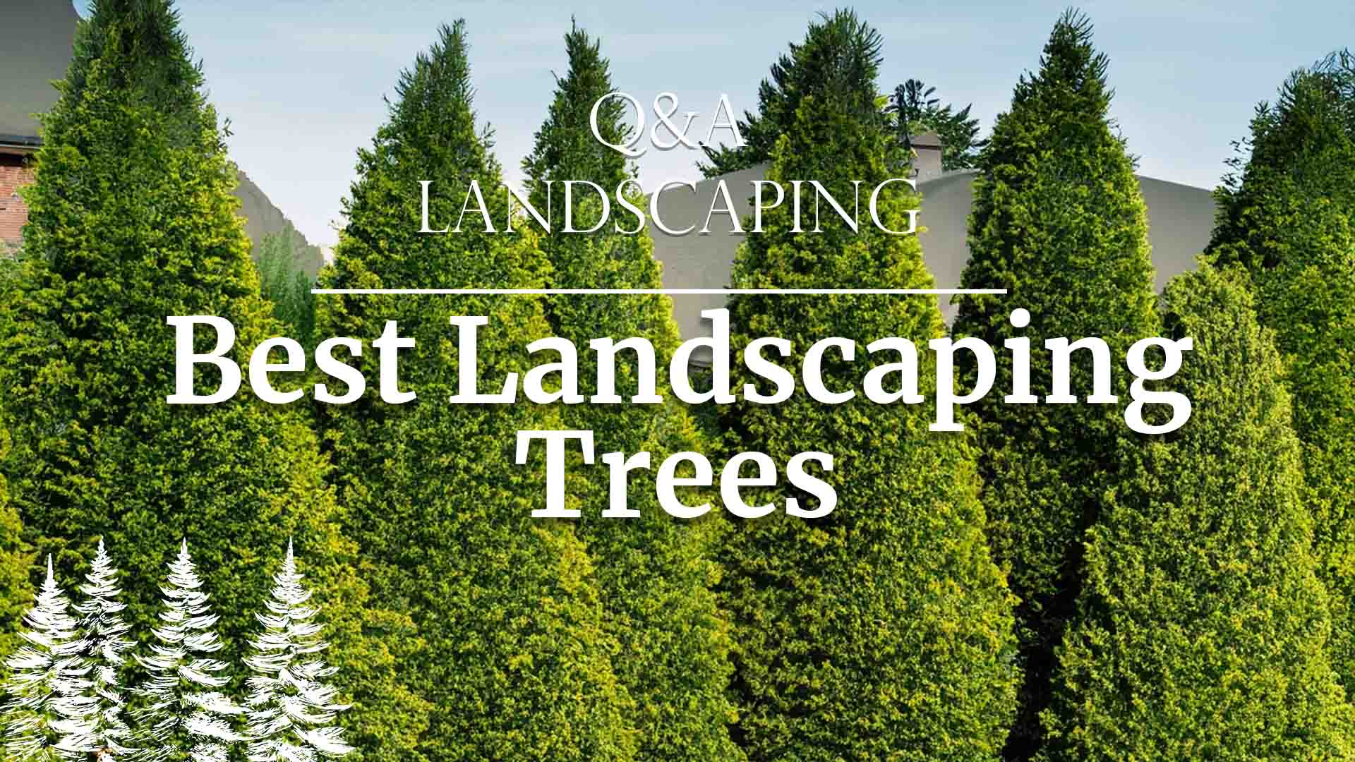 The Best Native Landscaping Trees For Your Yard